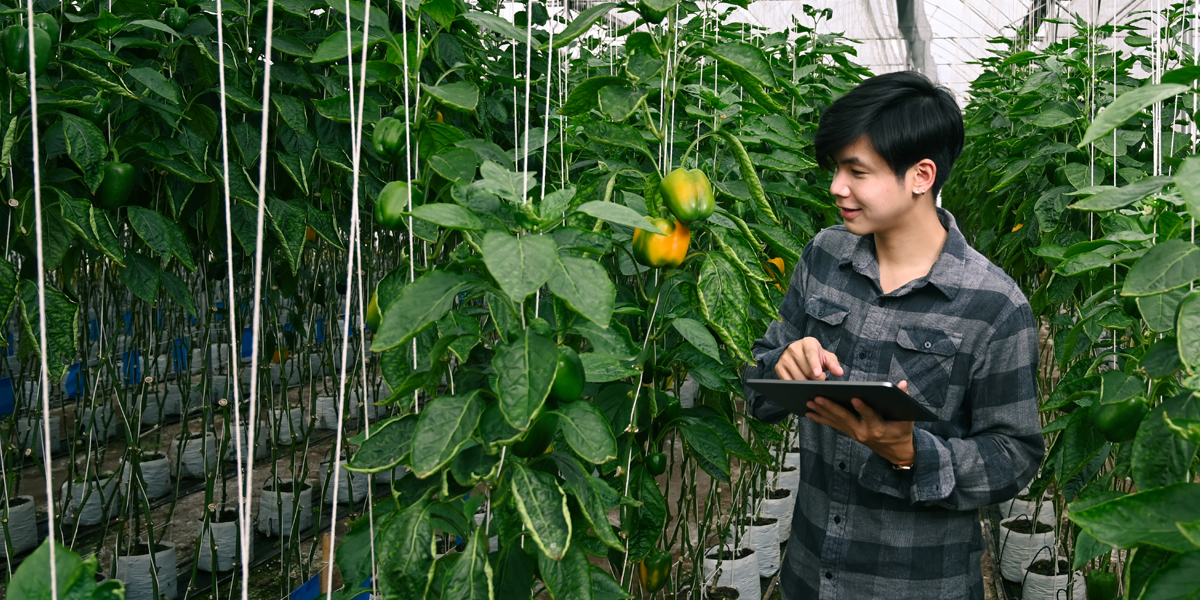 Technology The Future Of Agriculture Soil Science News