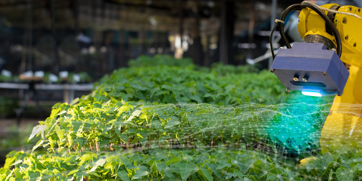 Robo Pest Control Has Economic, Environmental Benefits | Soil Science News